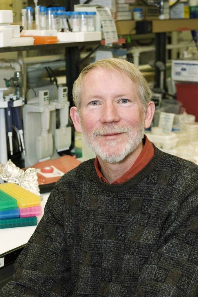 Mark E. Cook – Nutritional Sciences