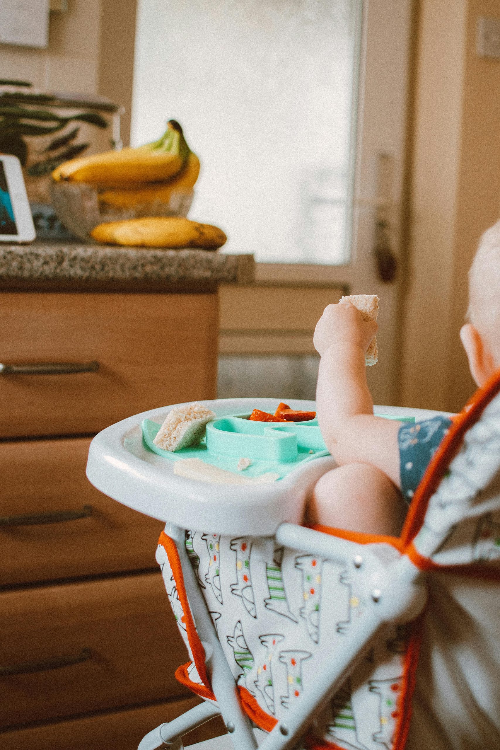 Baby Food Safety – Nutritional Sciences